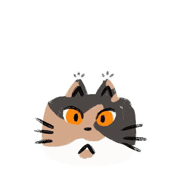 Shocked Cat Sticker for iOS & Android | GIPHY