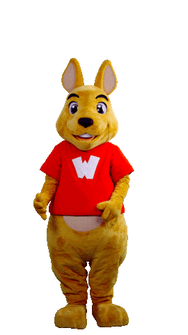 Walibi on studios GIFs on GIPHY - Be Animated