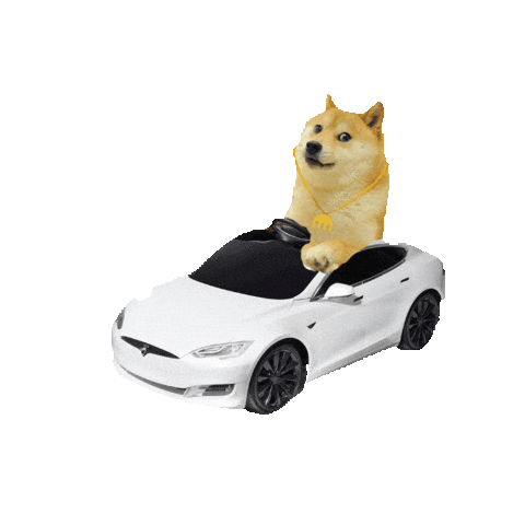 Doge Car Meme