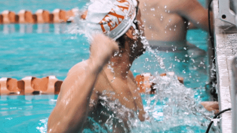 Diving Swimming GIF by Texas Longhorns - Find & Share on GIPHY