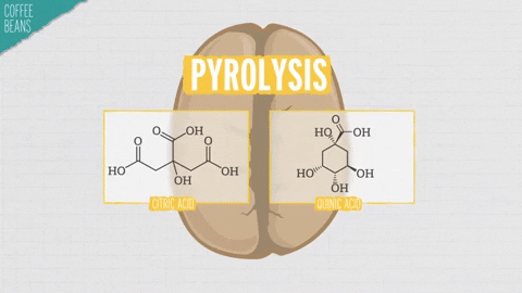 Pyrolysis GIFs - Get the best GIF on GIPHY