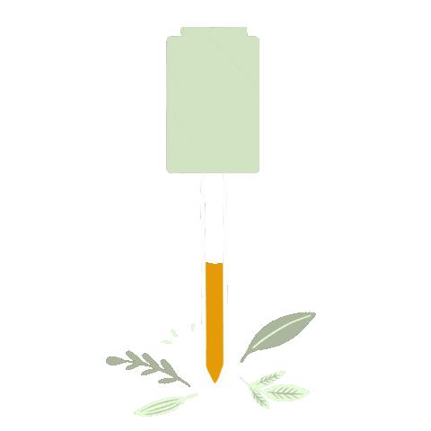 Codex Beauty GIFs on GIPHY - Be Animated