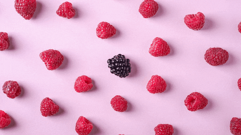 Raspberries GIFs - Find & Share on GIPHY