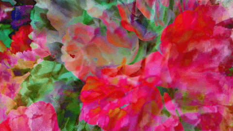 Flower-glitch GIFs - Get the best GIF on GIPHY