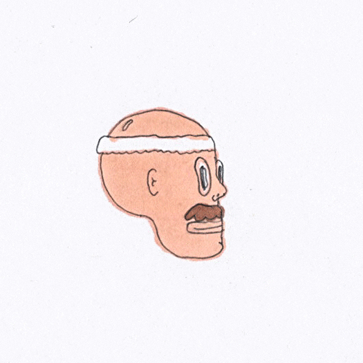 Human Skull GIFs - Find & Share on GIPHY