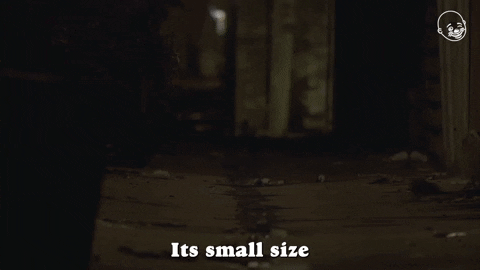 Small-rat GIFs - Get the best GIF on GIPHY