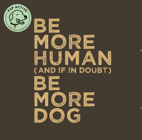 Be-more-human GIFs - Get the best GIF on GIPHY