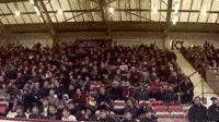 Crowds Cheering Gif