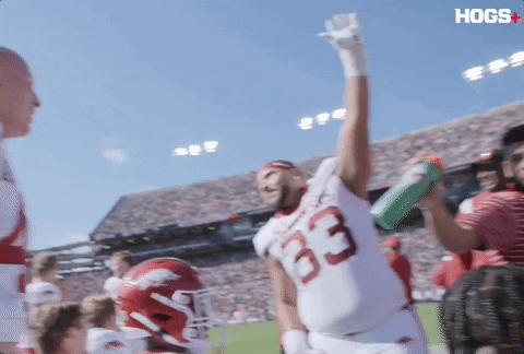 Football College GIF by Hogs+ - Find & Share on GIPHY