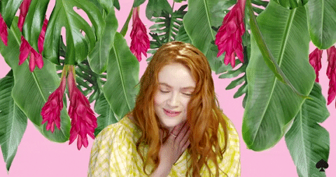 kate spade new york GIF - Find & Share on GIPHY