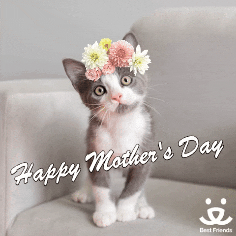 Happy Dog Mom Day GIFs - Get the best GIF on GIPHY