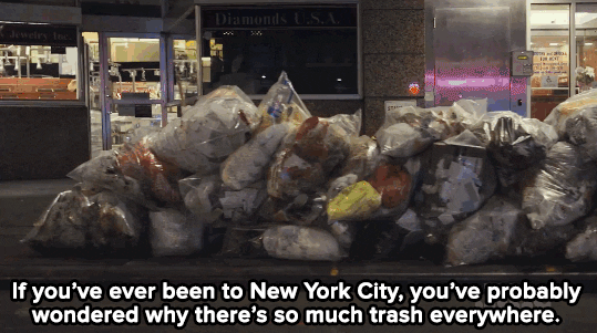 Model Citizens S Get The Best On Giphy