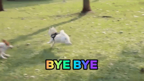Bye Bye Corgi GIF by WoofWaggers - Find & Share on GIPHY