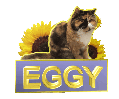 mess GIFs on GIPHY - Be Animated