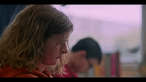 Bird Hitting Window GIFs - Get the best GIF on GIPHY