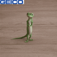 Geico Gecko Gif