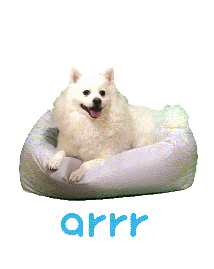 아르르 Sticker by arrr_official for iOS & Android | GIPHY