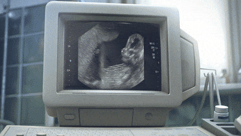 The Medium GIFs - Get the best GIF on GIPHY
