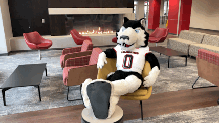 Niu Huskies GIF by Northern Illinois University - Find & Share on GIPHY