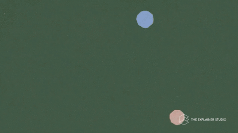 Animation Coins GIF by The Explainer Studio - Find & Share on GIPHY