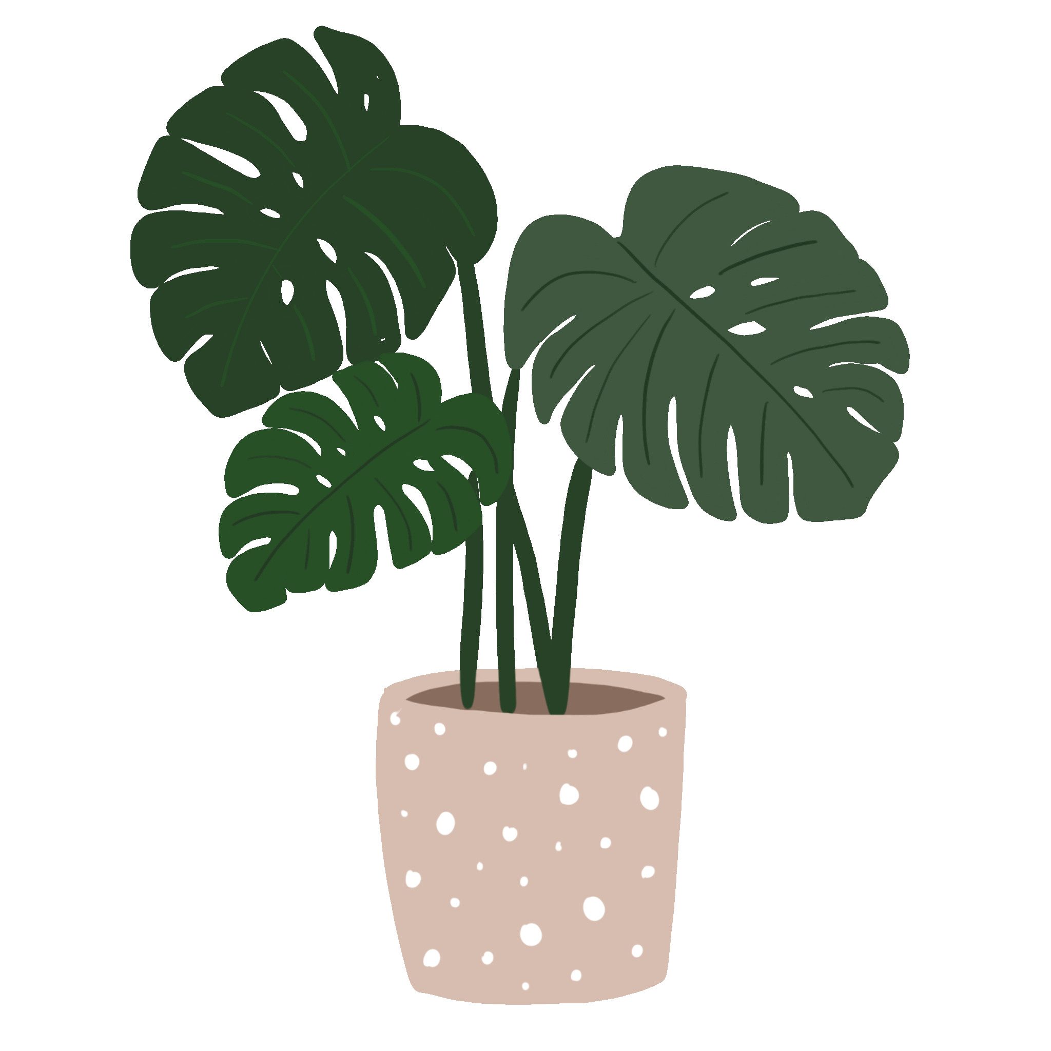 Plants Leaves Sticker for iOS & Android | GIPHY
