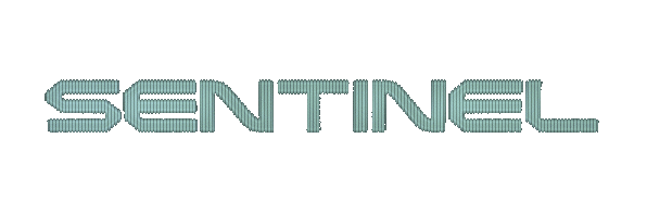 Sentinel Sticker by FRENCH EXPRESS for iOS & Android | GIPHY