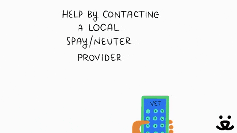 Community Cat Day by Best Friends Animal Society | GIPHY