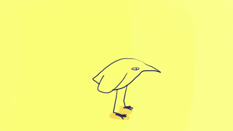 Mut GIF - Find & Share on GIPHY
