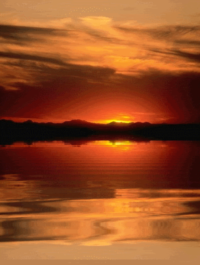 Riverside GIFs - Get the best GIF on GIPHY