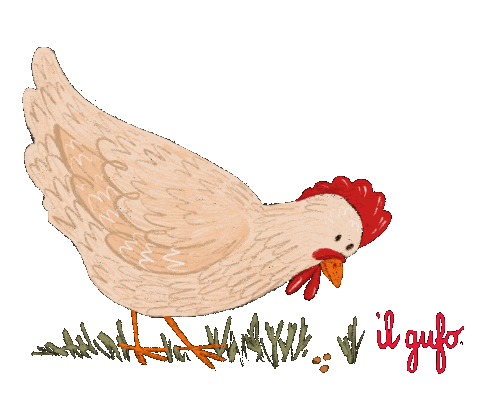 Fly Chicken Sticker by Il Gufo for iOS & Android | GIPHY