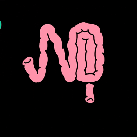 Oesophagus GIFs - Get the best GIF on GIPHY