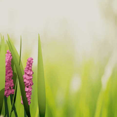 Plant GIFs - Find & Share on GIPHY