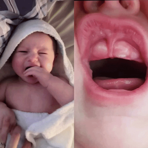 Teething Baby GIFs - Get the best GIF on GIPHY