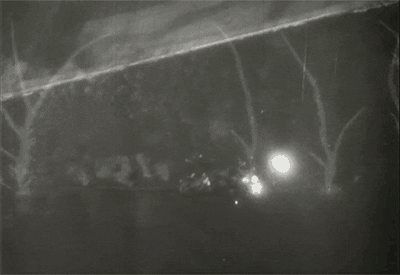 D-Day 75th Anniversary by U.S. National Archives | GIPHY