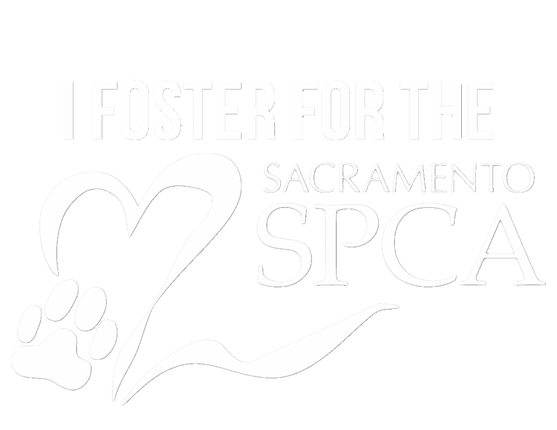 Foster Sticker by Sacramento SPCA for iOS & Android | GIPHY
