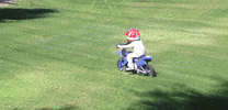 Bike Crash GIFs - Find & Share on GIPHY