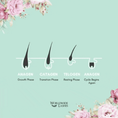 Phase-transition GIFs - Get the best GIF on GIPHY