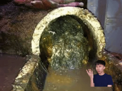 Blocked Drain GIFs - Get the best GIF on GIPHY