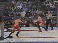 Best piledriver GIFs - Primo GIF - Latest Animated GIFs