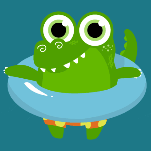 Florida-pool GIFs - Get the best GIF on GIPHY