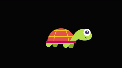 Turtle Swim GIFs - Get the best GIF on GIPHY