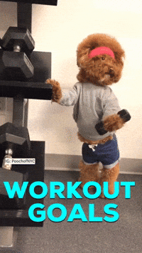 Working Out Gif
