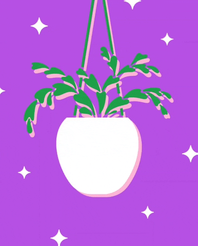 Hanginthere GIFs - Get the best GIF on GIPHY