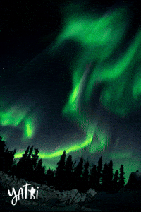Northern Lights Animated Gif