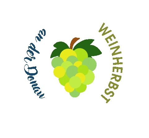 POINT OF VIEW GIFs on GIPHY - Be Animated