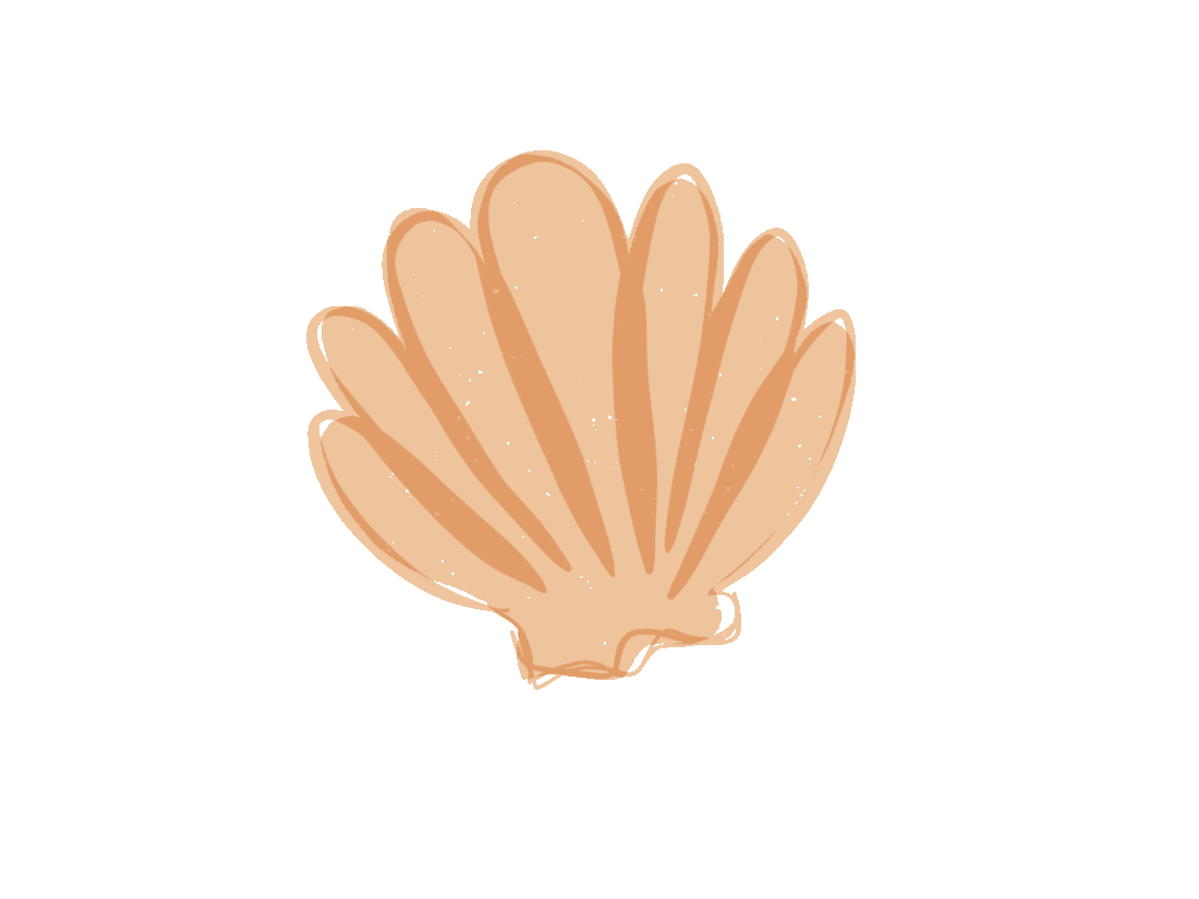 Shell Beige Sticker by acdain for iOS & Android | GIPHY