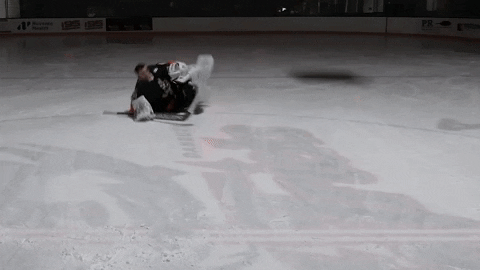 Ice Hockey Gif