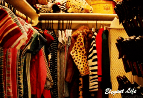 June-is-organise-you-closet-month GIFs - Find & Share on GIPHY
