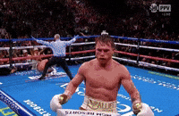 King-canelo GIFs - Get the best GIF on GIPHY