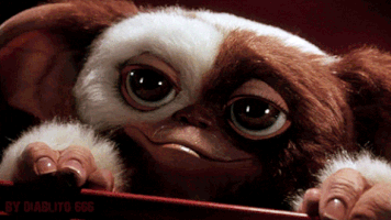 Gremlins 2 GIFs - Find & Share on GIPHY